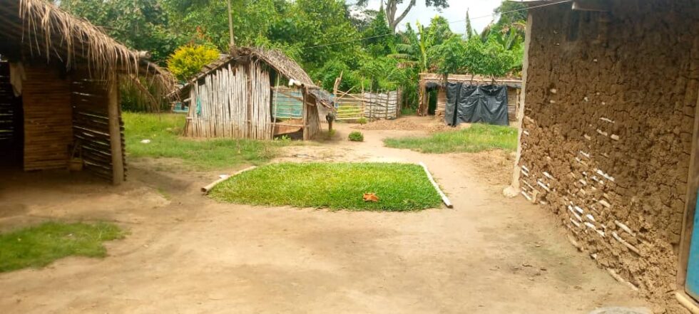 Clean Village Attracts New Residents | ghni